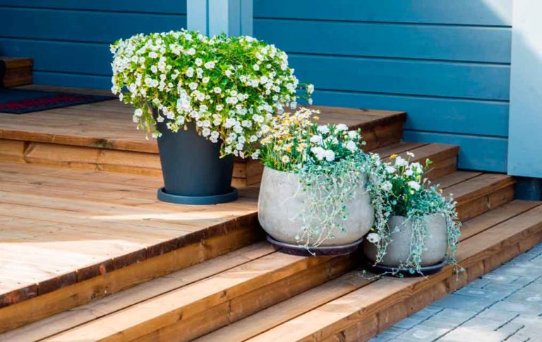 Ulkoportaat - Puuinfo