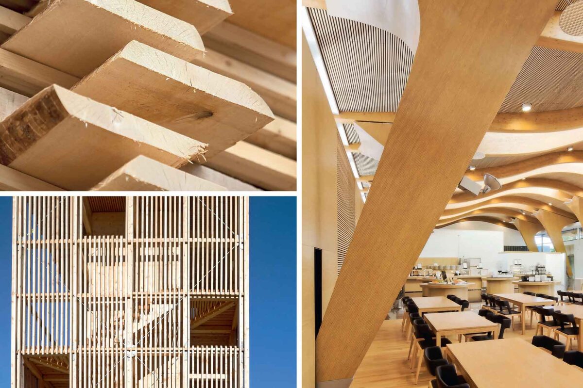 Puun ominaisuudet - Puuinfo