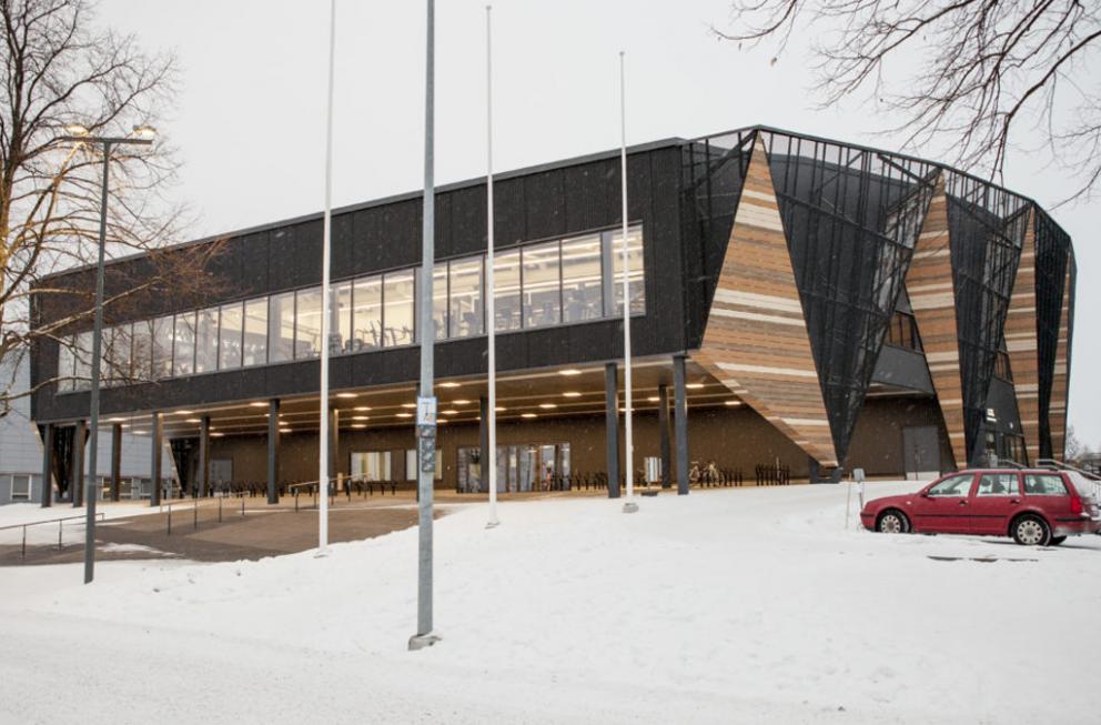 LapWall LEKO® Kattoelementit - Puuinfo