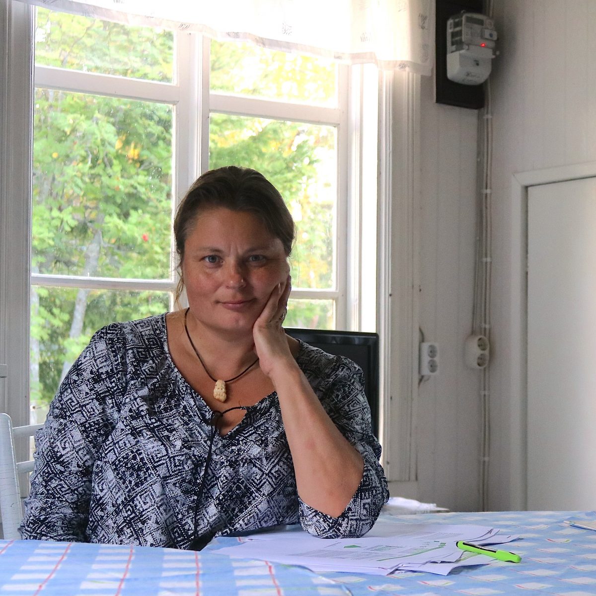 Kintulammin laavut - Puuinfo